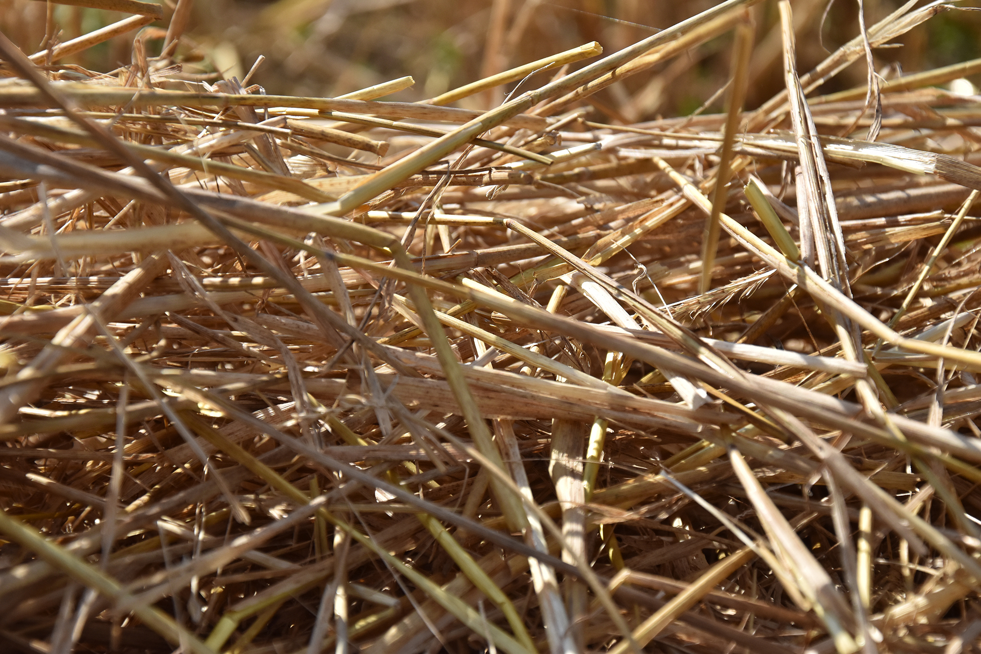 Gérer ma paille et ma litière – OK Eleveur